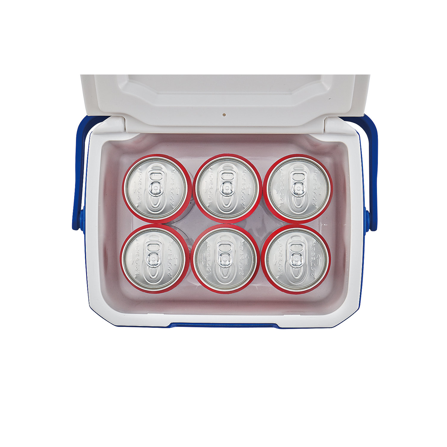 Coleman Performance 5QT Coolbox - Calor In Surrey